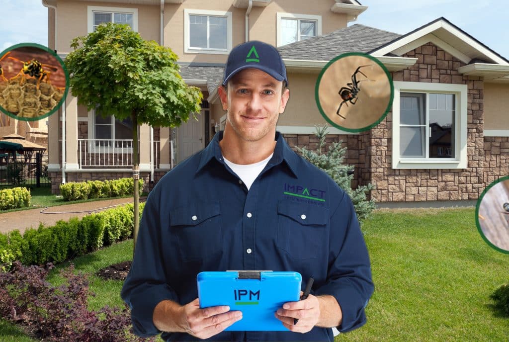 Residential Pest Control – IMPACT Pest Management